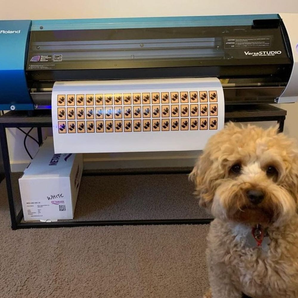 About Us – The Colour Cartel