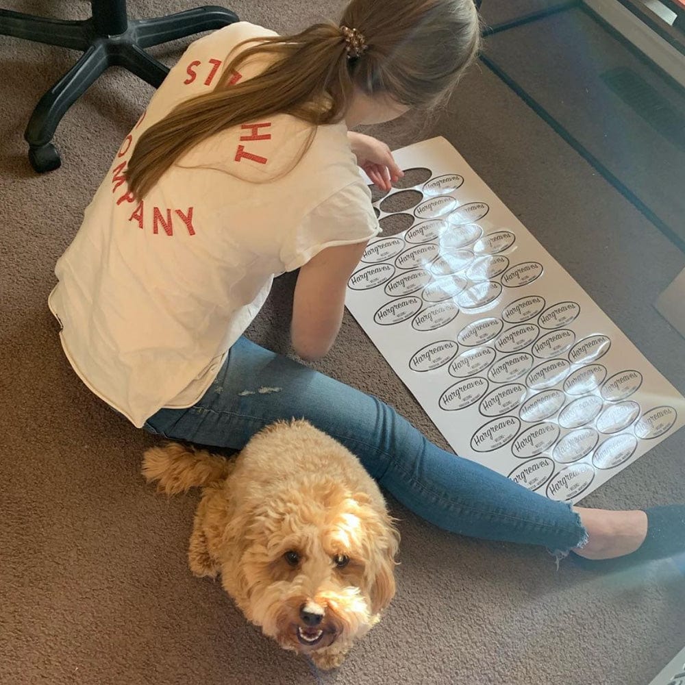 About Us – The Colour Cartel